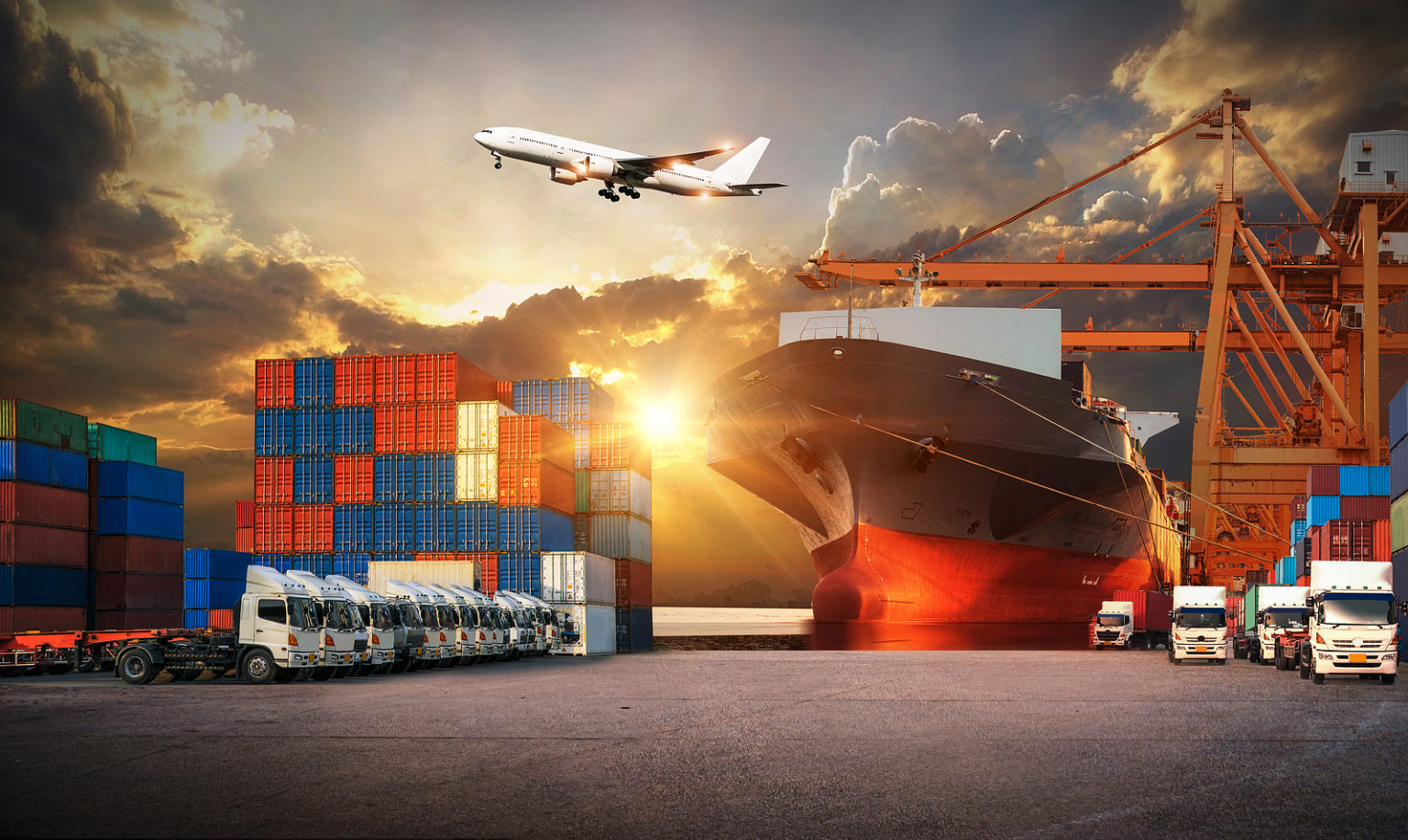 Artwork Transport Options You Need to Know When Shipping Art